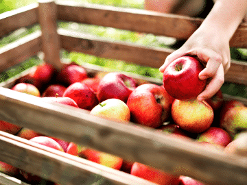 5 Ways To Add Apples To Your Next Meal - Reach Out Recovery