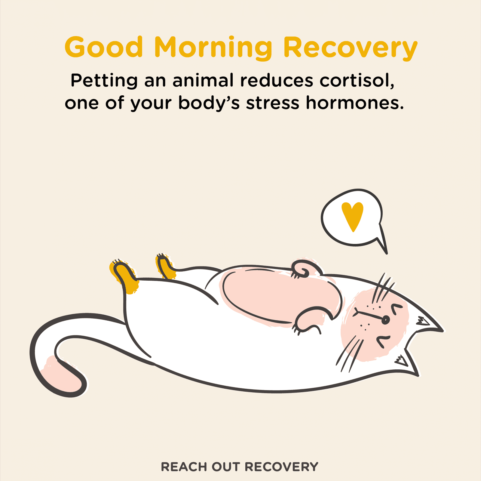 Recovery Quotes: Pet An Animal - Reach Out Recovery