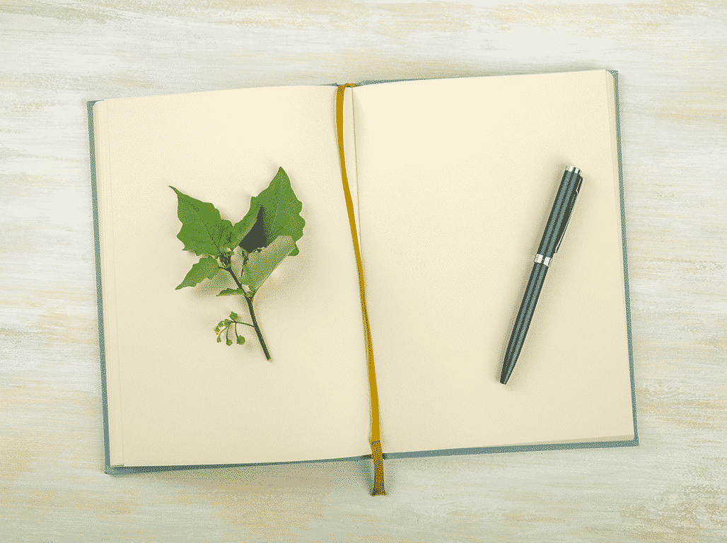 Your recovery bullet journal is perfect for Covid stress relief