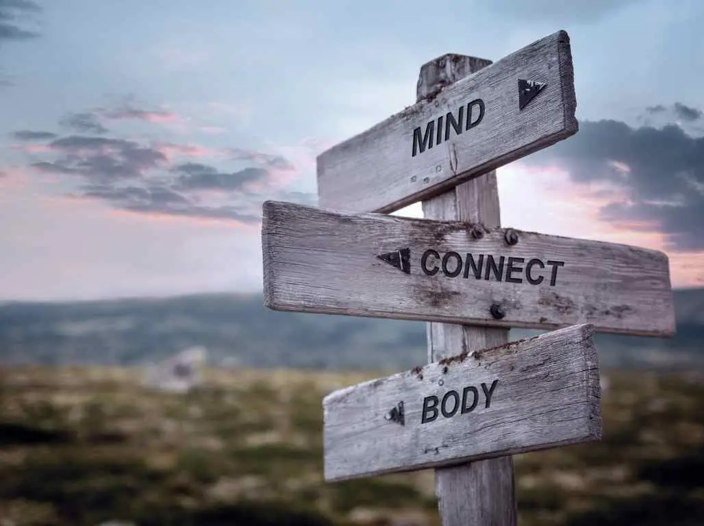 Get Your Mind Body Link Healthy - Reach Out Recovery